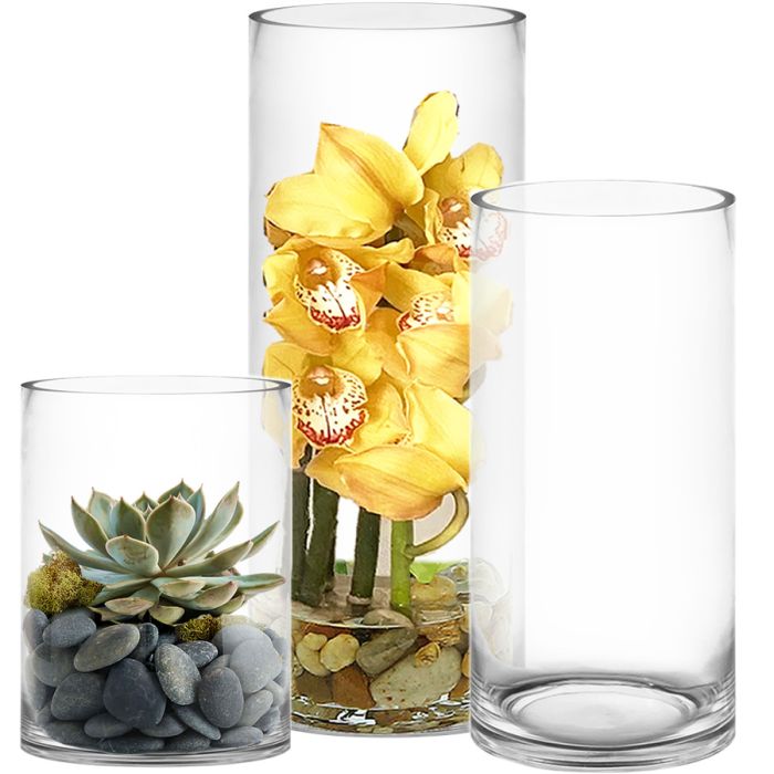 Stunning Glass Cylinder Vases for Elegant Floral Arrangements | Shop Now