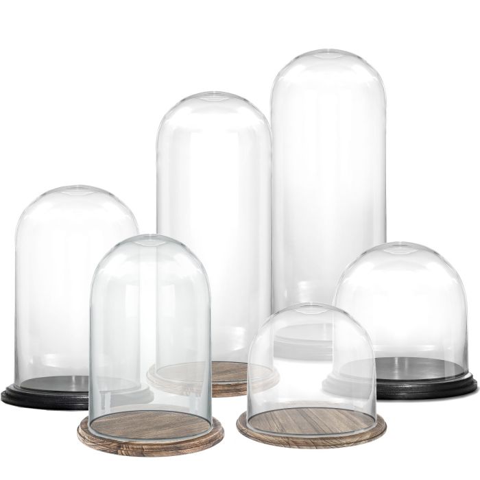 Glass Dome Cloche H-7", H-11", 15", D-7" Bell Jar with Black Brown Wood ...